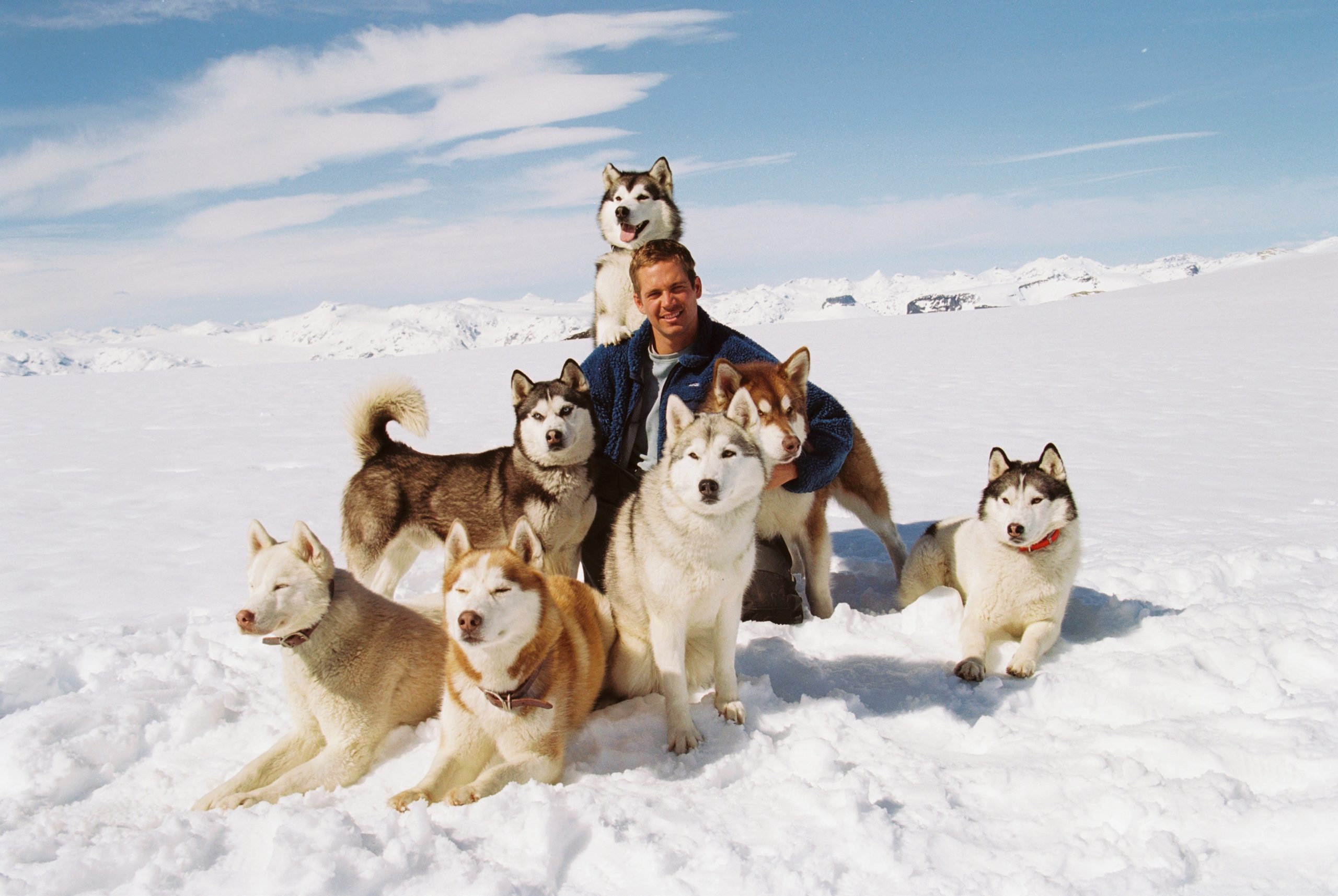 Eight Below Is Still Heartwarming 16 Years Later - Solzy at the Movies